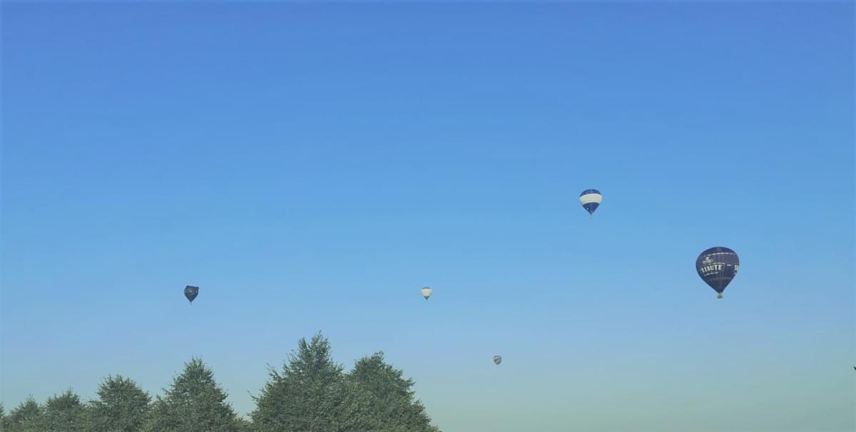 Six and a half flying ideas for the future - With Many Roots