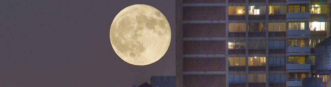 The Girl Who Touched the Moon - With Many Roots
