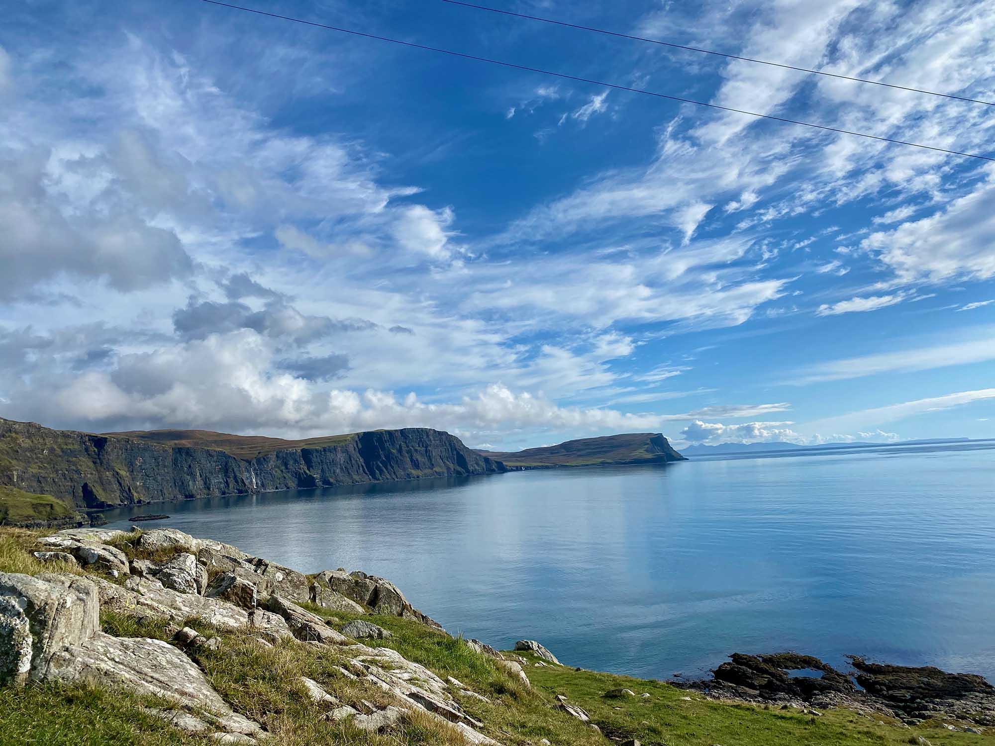 Turning Green in the Blue - With Many Roots